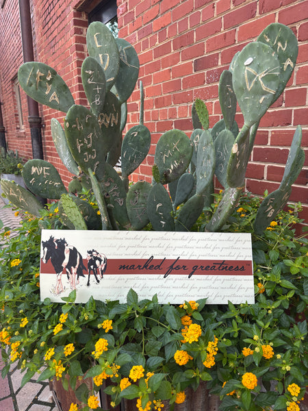 Large Marked for Greatness Sticker – PH Barn Door