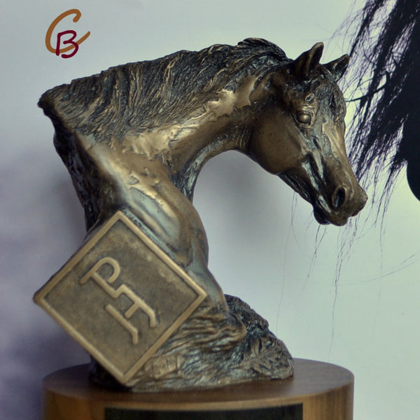 CB Cowboy Bronze Trophy – PH Barn Door